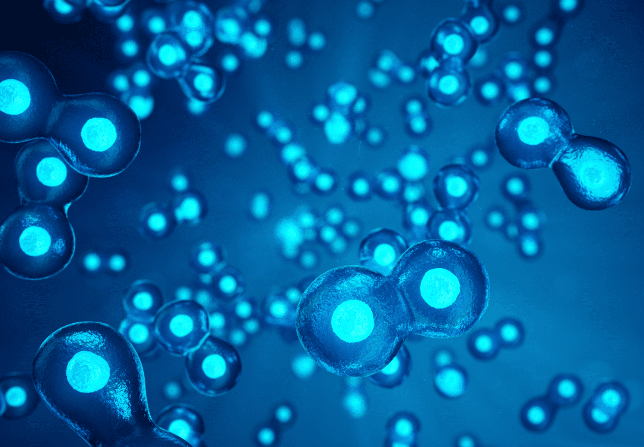 Stem Cell Therapy - O'Brien Medical Evolution